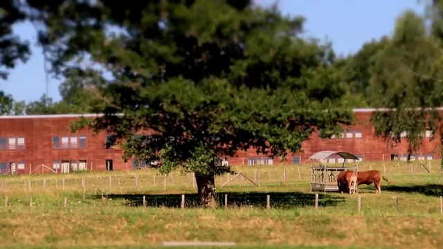 Limousine Park, à visiter en famille